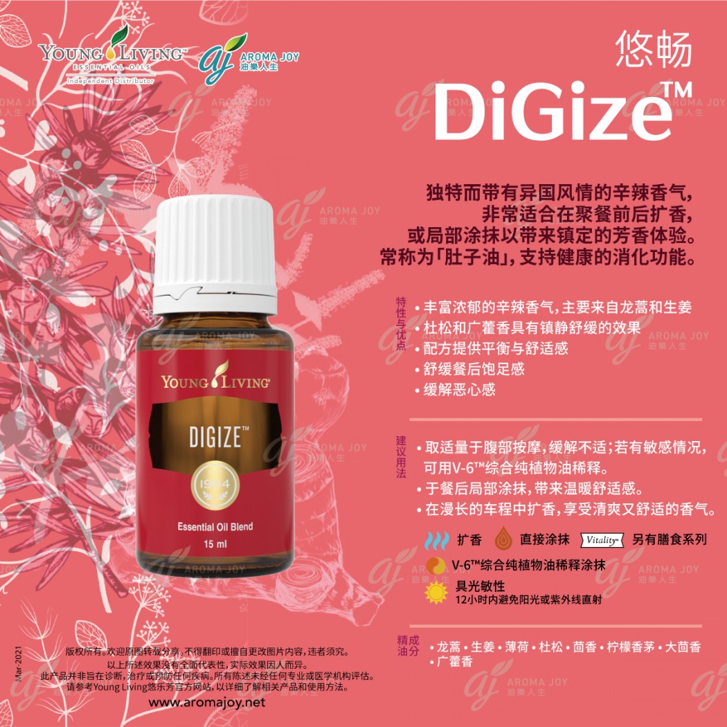 DiGize 悠暢