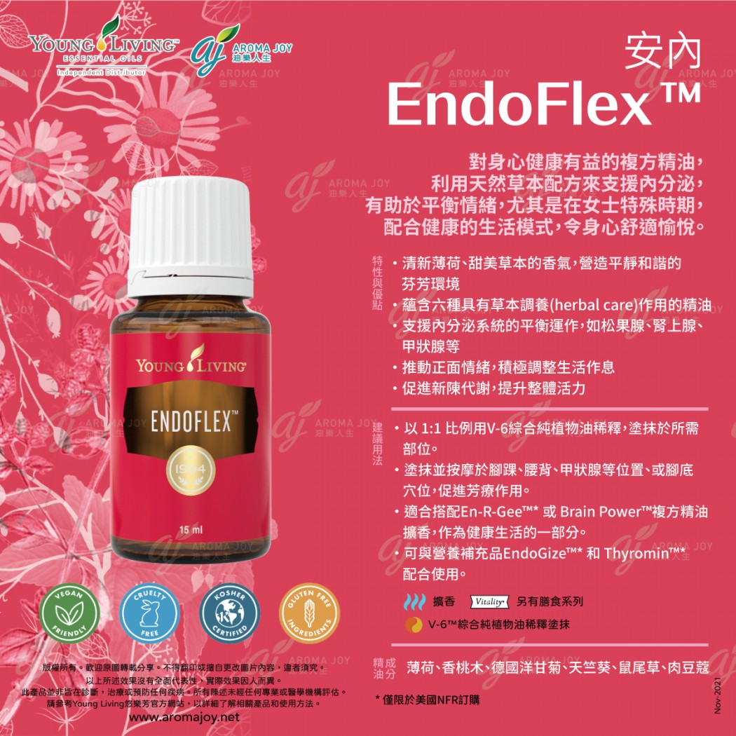 Endoflex 安內