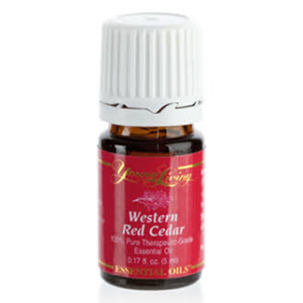 Western Red Cedar